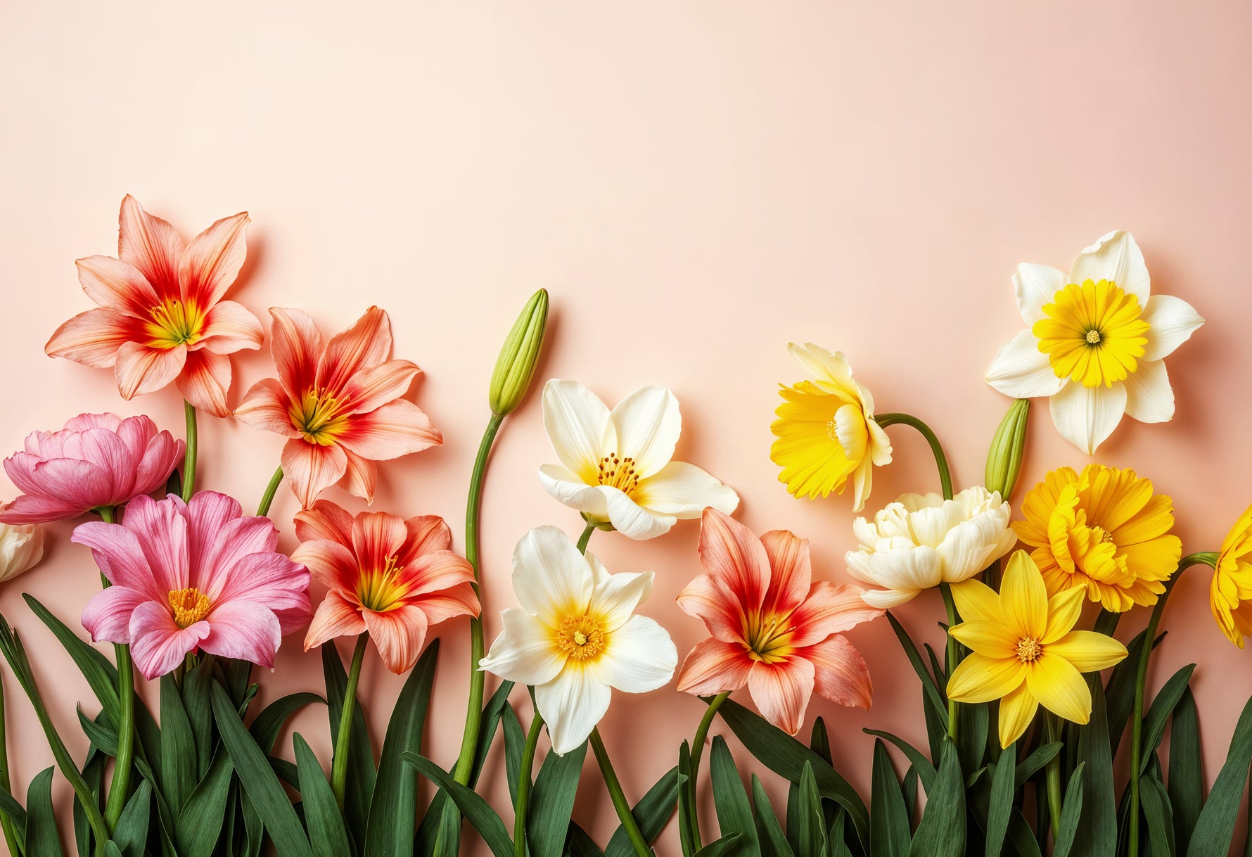 Divine Ideas - Edinburg Florist since 2005 – Divine Ideas & Flowers For You